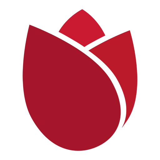 The History and Origin of the Word Cremation